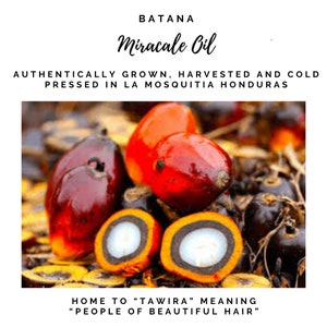 100% BATANA Oil From Honduras Raw & Natural RAPID GROWTH Blends ...