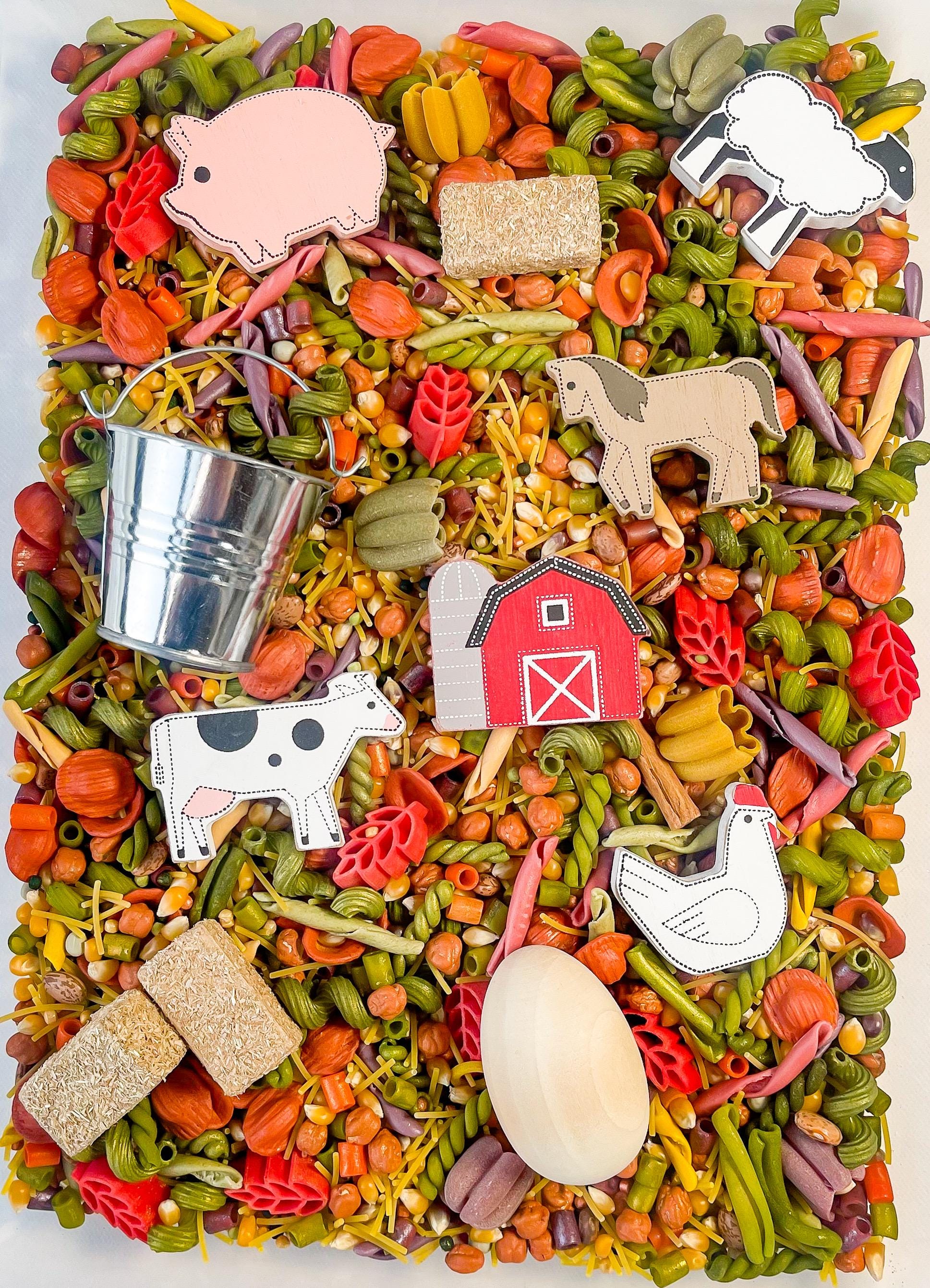 Farm-themed Sensory Play Jar, Farm Pour and Play Kit for Kids ...