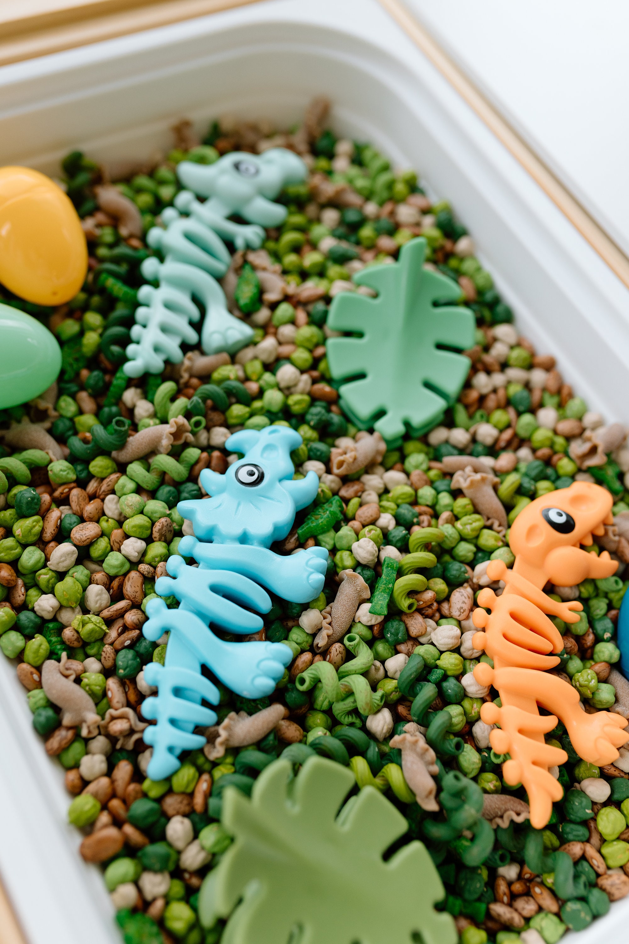 Dino Sensory Bin, Dinosaur Themed Sensory Mix, Stegosaurus, T-rex, Dino ...