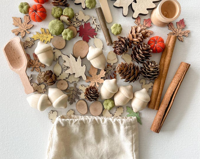 Autumn Pour & Explore Kit – Sensory Play Bag for Kids, Fall Activity ...