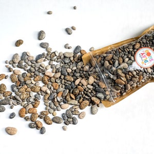Nature-inspired Rock Sensory Bin Filler, Pretend Rocks, Construction ...