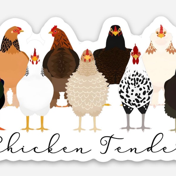 Chicken Sticker Decals - Etsy