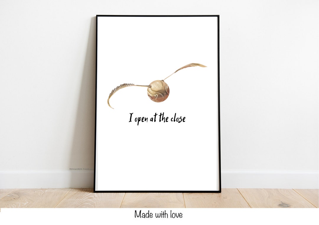 Harry Potter Poster Snitch: DIN A4 Poster Harry Potter, Gift Living ...