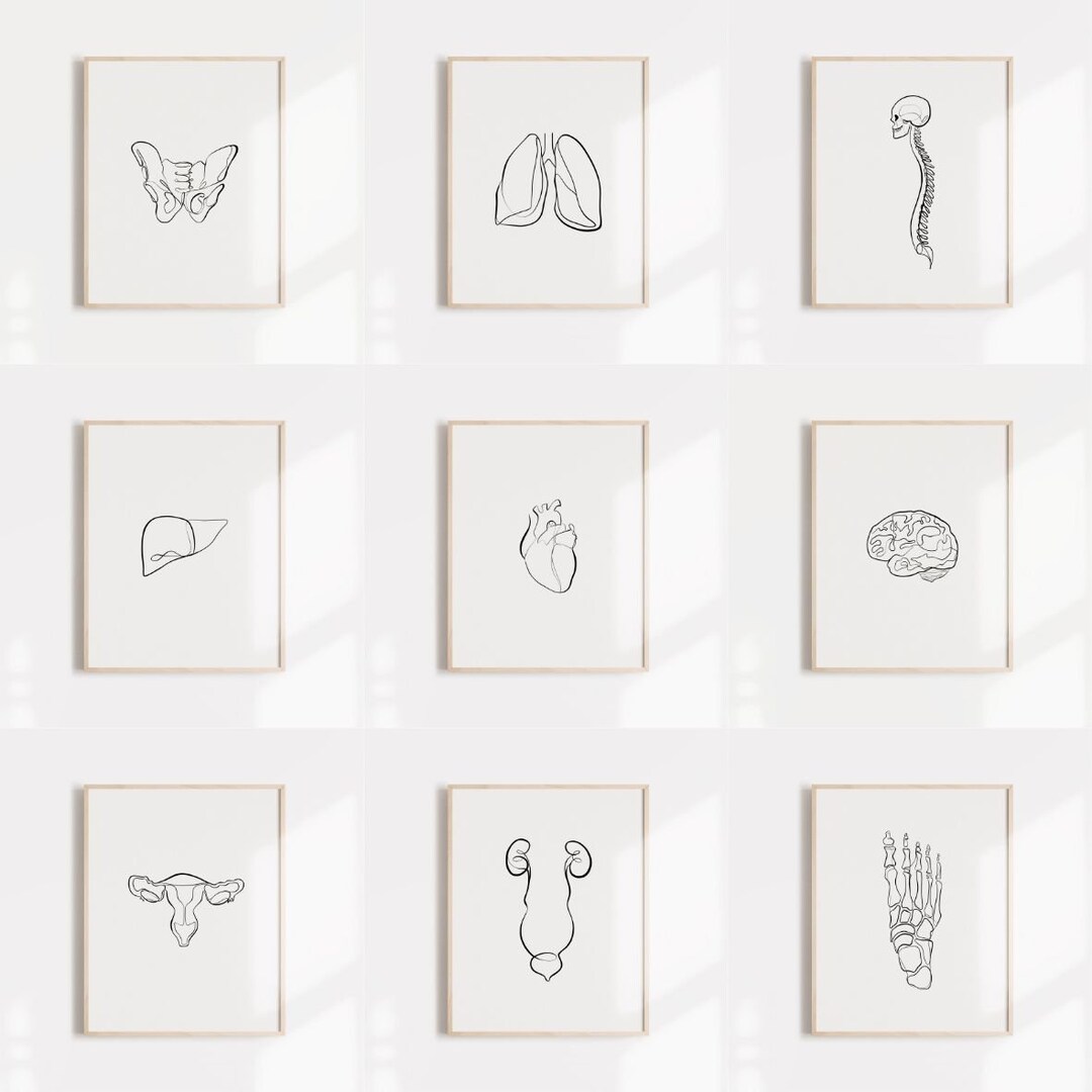 Bundle Human Body, Doctor Office Wall Art, Anatomy Minimalist Print ...