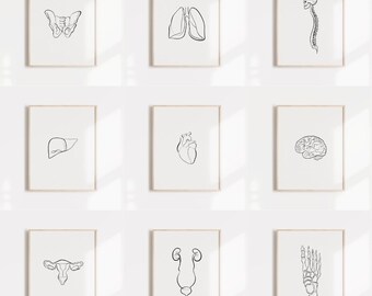 Human Body Line Art - Etsy