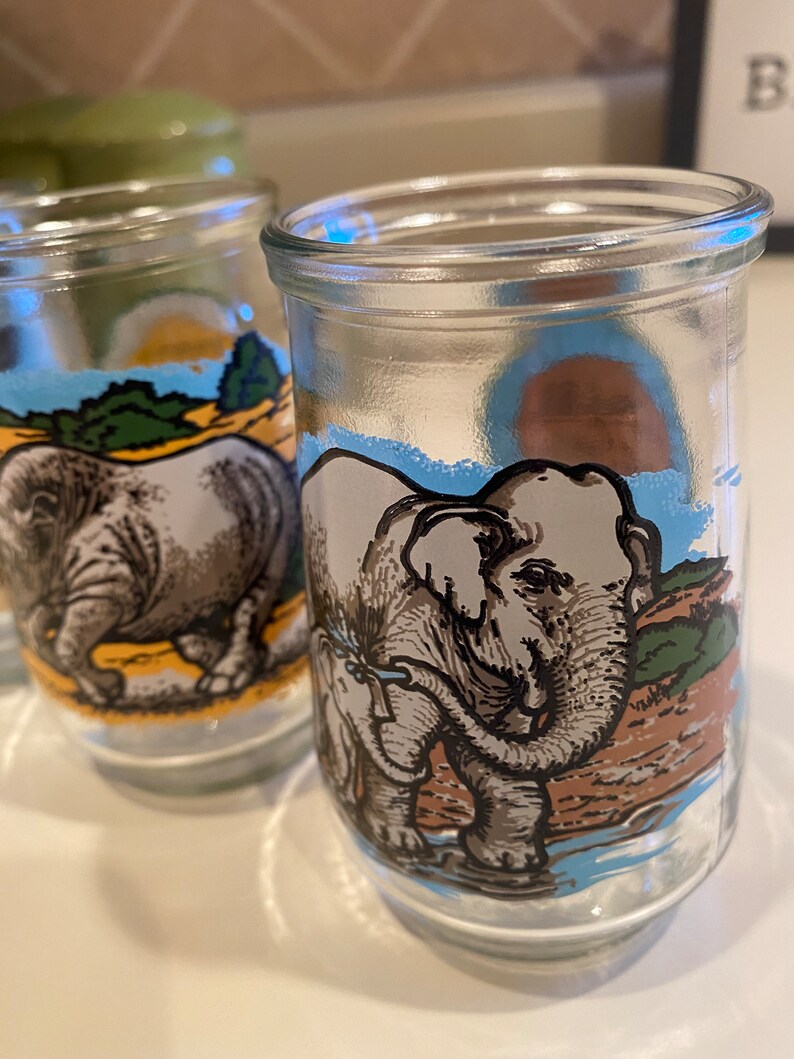 Welch's Vintage WWF Glasses North American Collection - Set of 12 ...