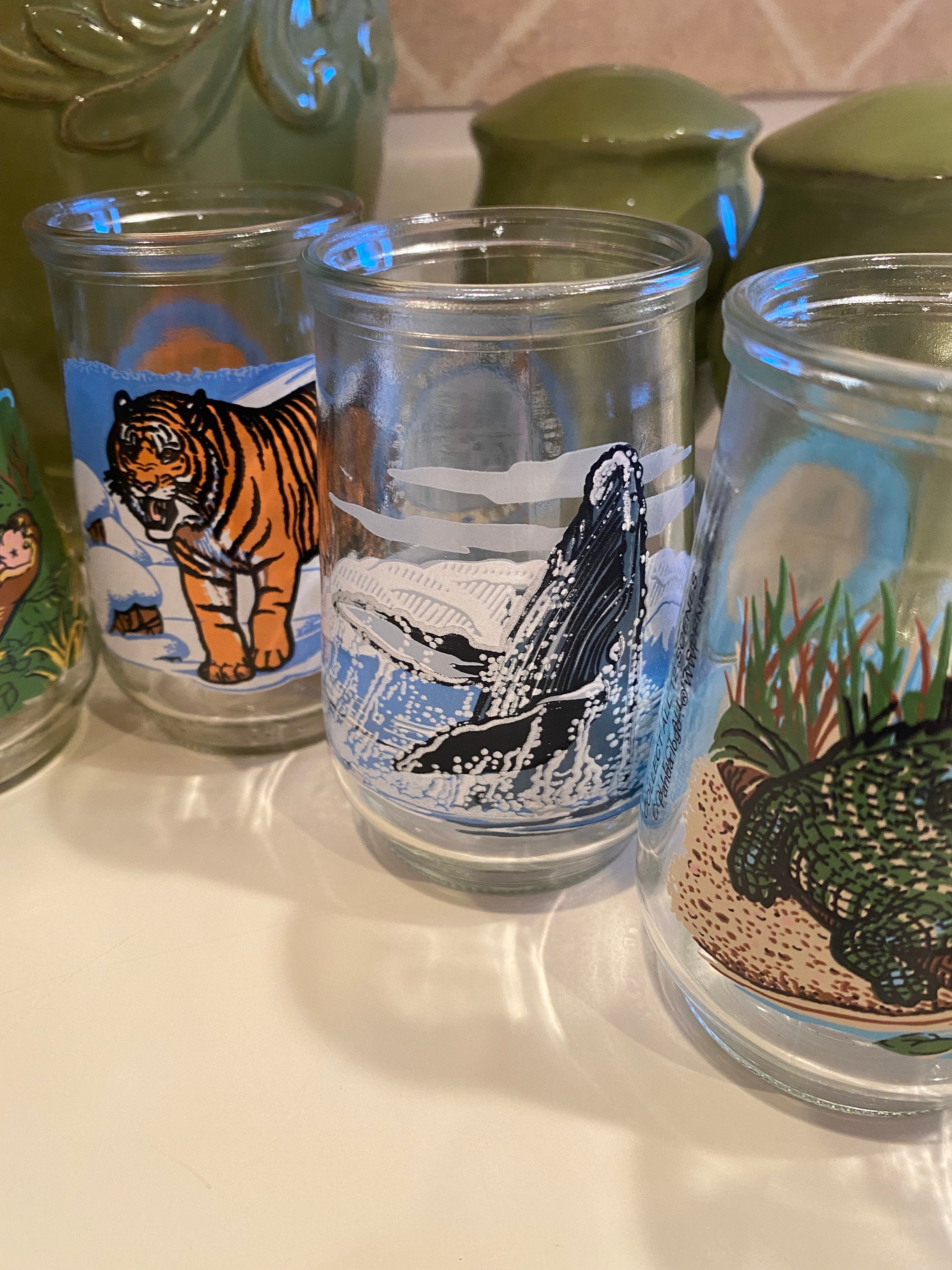 Welch's Vintage WWF Glasses North American Collection - Set of 12 ...