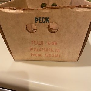 Vegetable/fruit Carton - Vintage Peck Box - Etsy