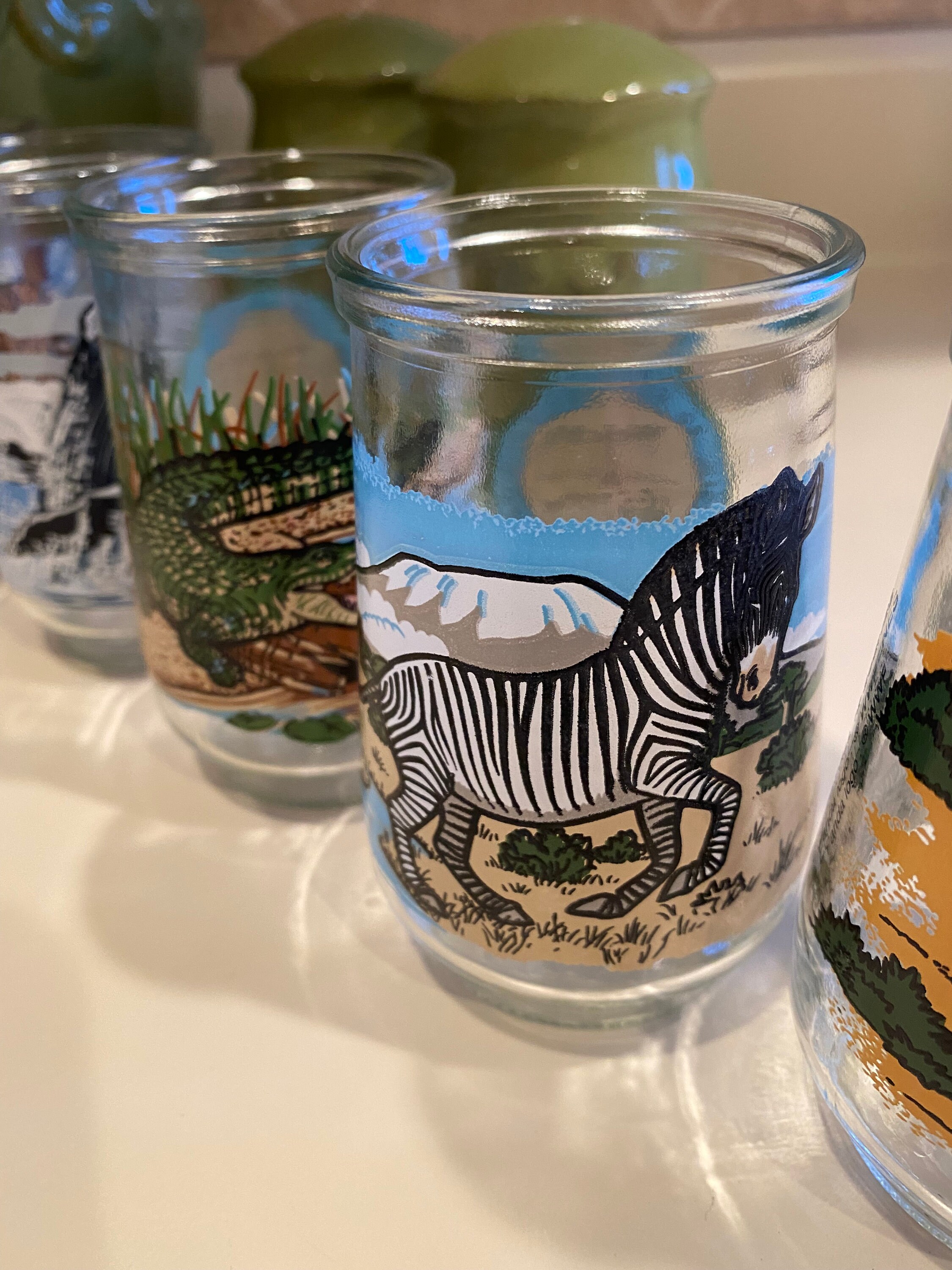 Welch's Vintage WWF Glasses North American Collection - Set of 12 ...