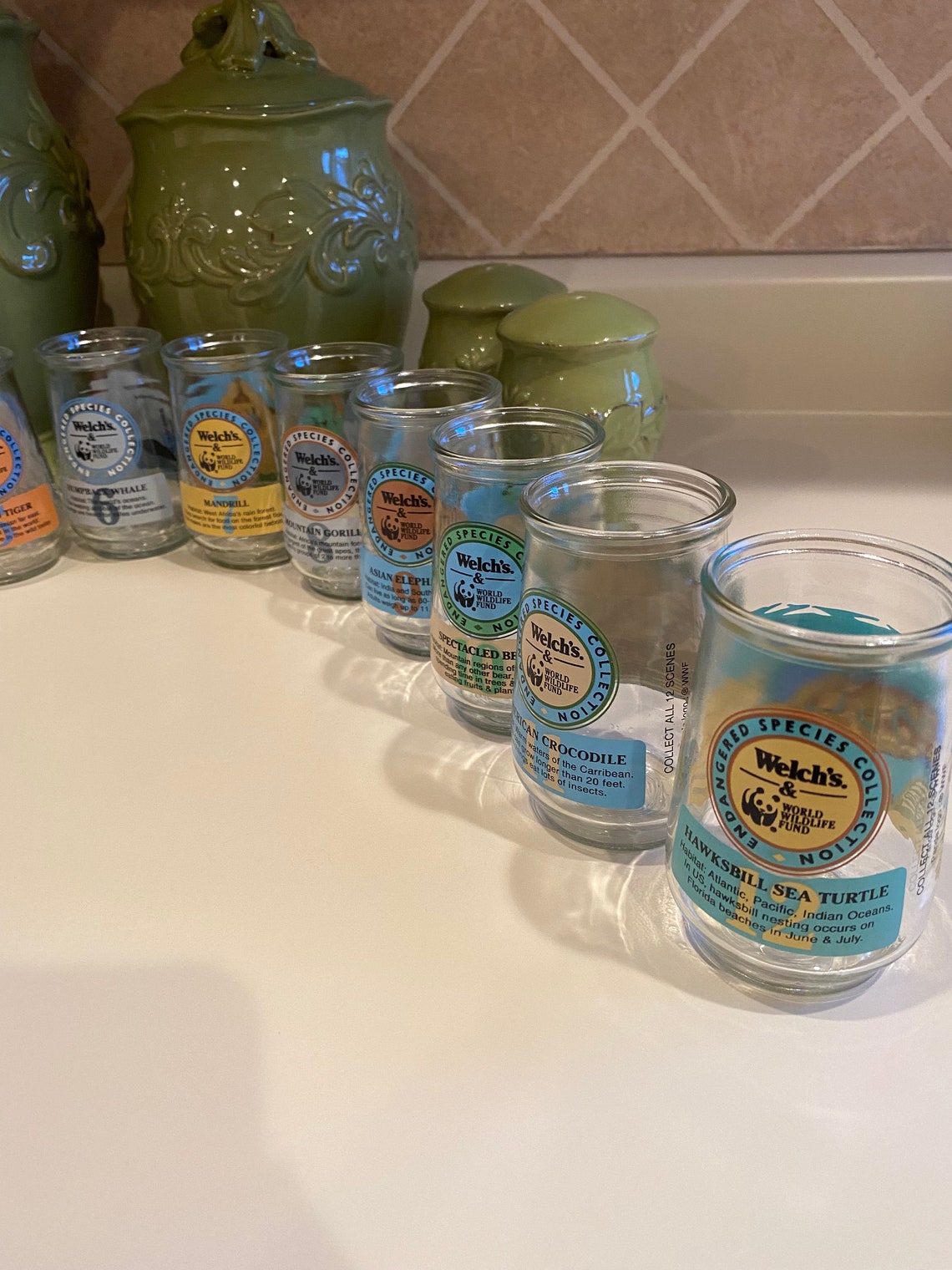 Welch's Vintage WWF Glasses North American Collection - Set of 12 ...