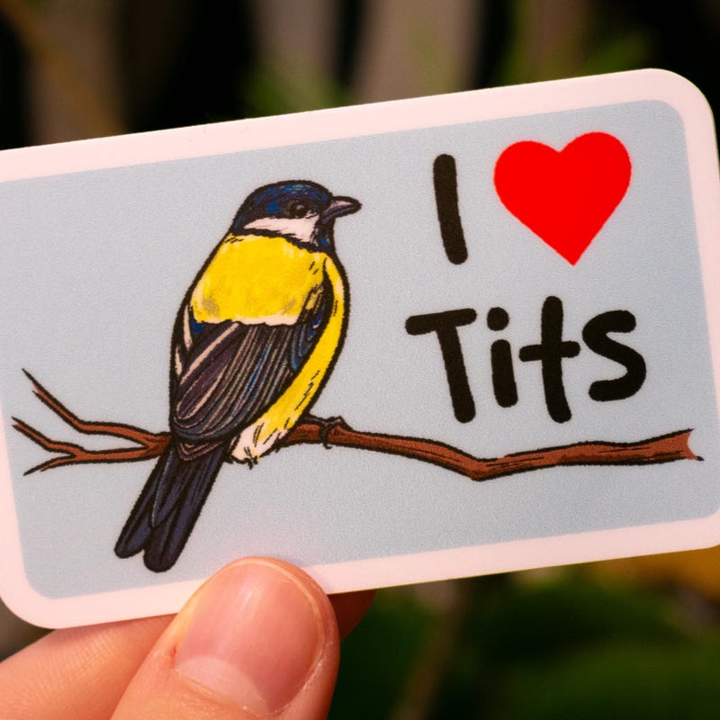 Bird Stickers Love - Etsy