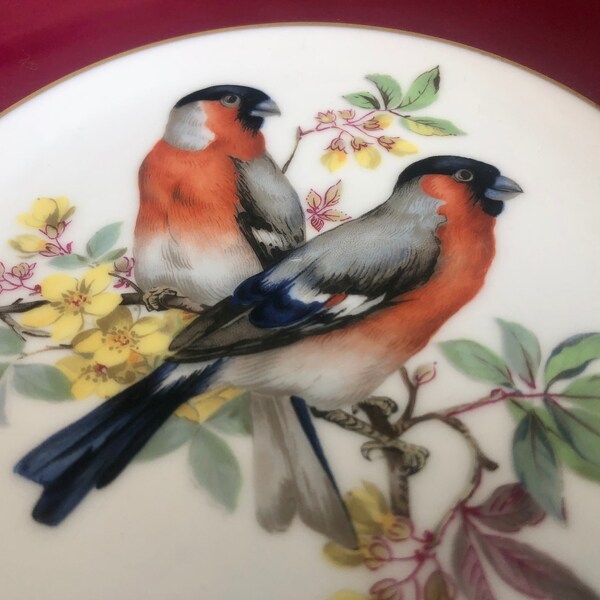 Kaiser Porcelain Plates - Etsy