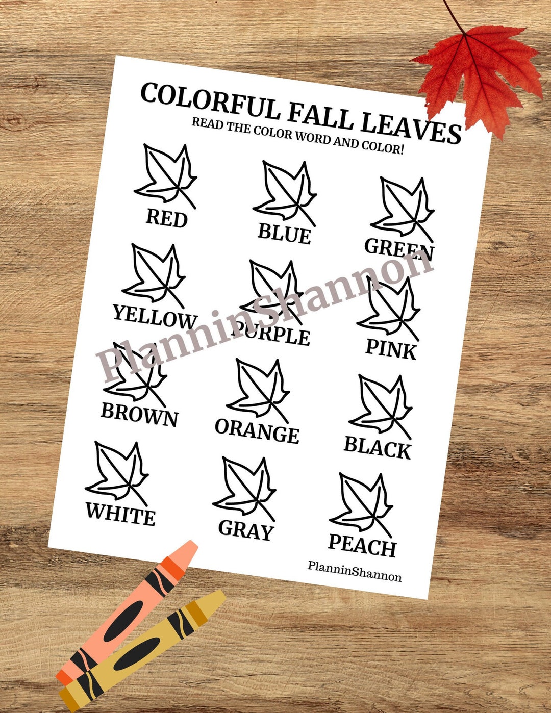 Colorful Fall Leaves Color Word Sheet - Etsy