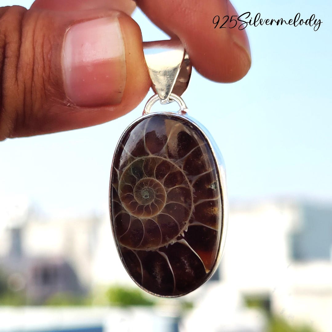 Ammonite Fossil Pendant, Ammonite Fossil Jewelry, Sterling Silver ...