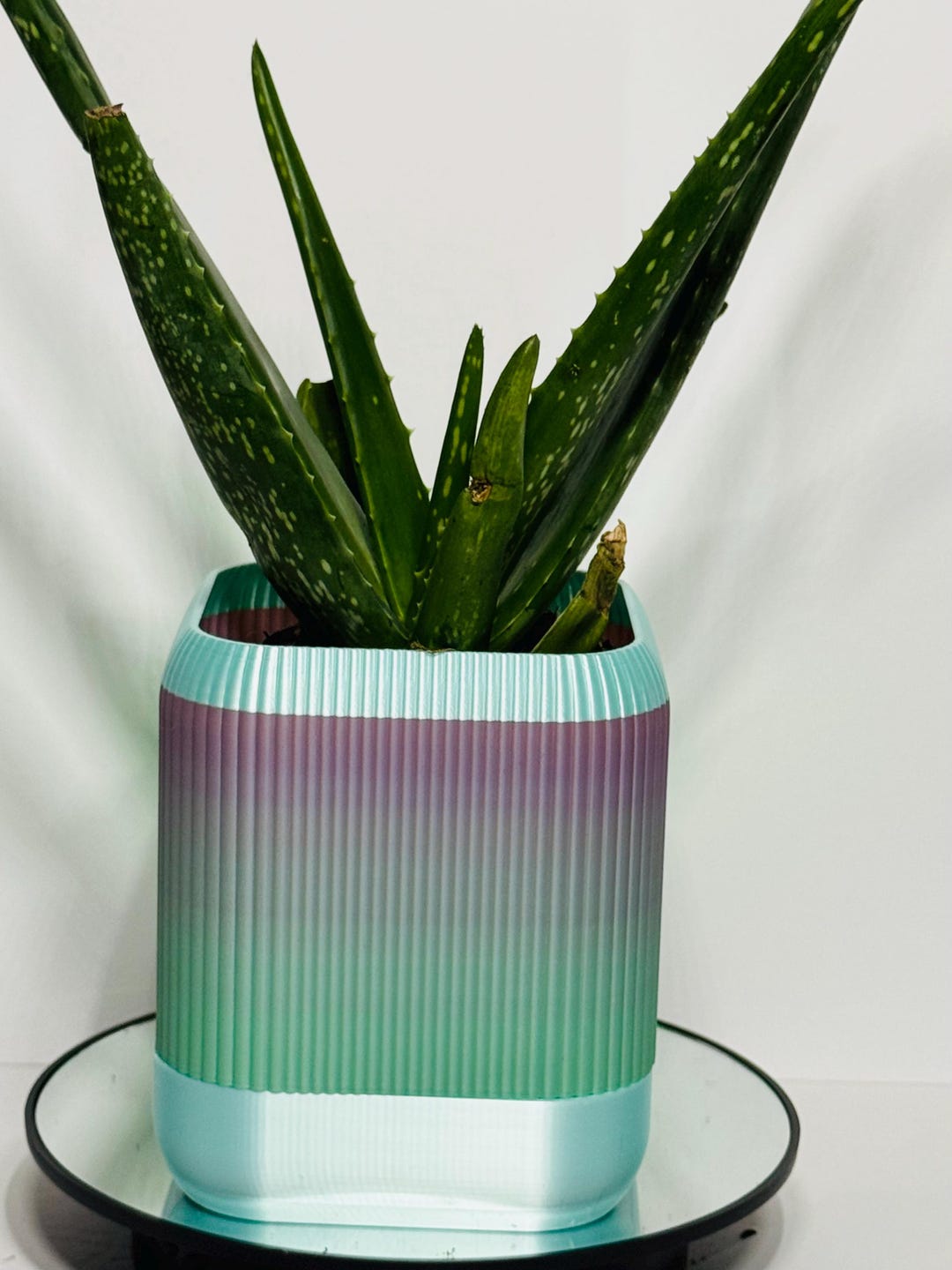 Self Watering Planting Pot Succulent Outdoor Indoor Vegetables Flowers ...