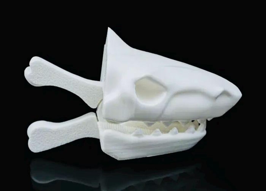 Shark Skeleton Bag Clip Unique 3D Printed Snack & Chip Clip Set of 3 or ...