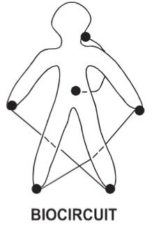 Eeman Biocircuits Armand MAXI Therapeutic Pads for Spine Pain and ...