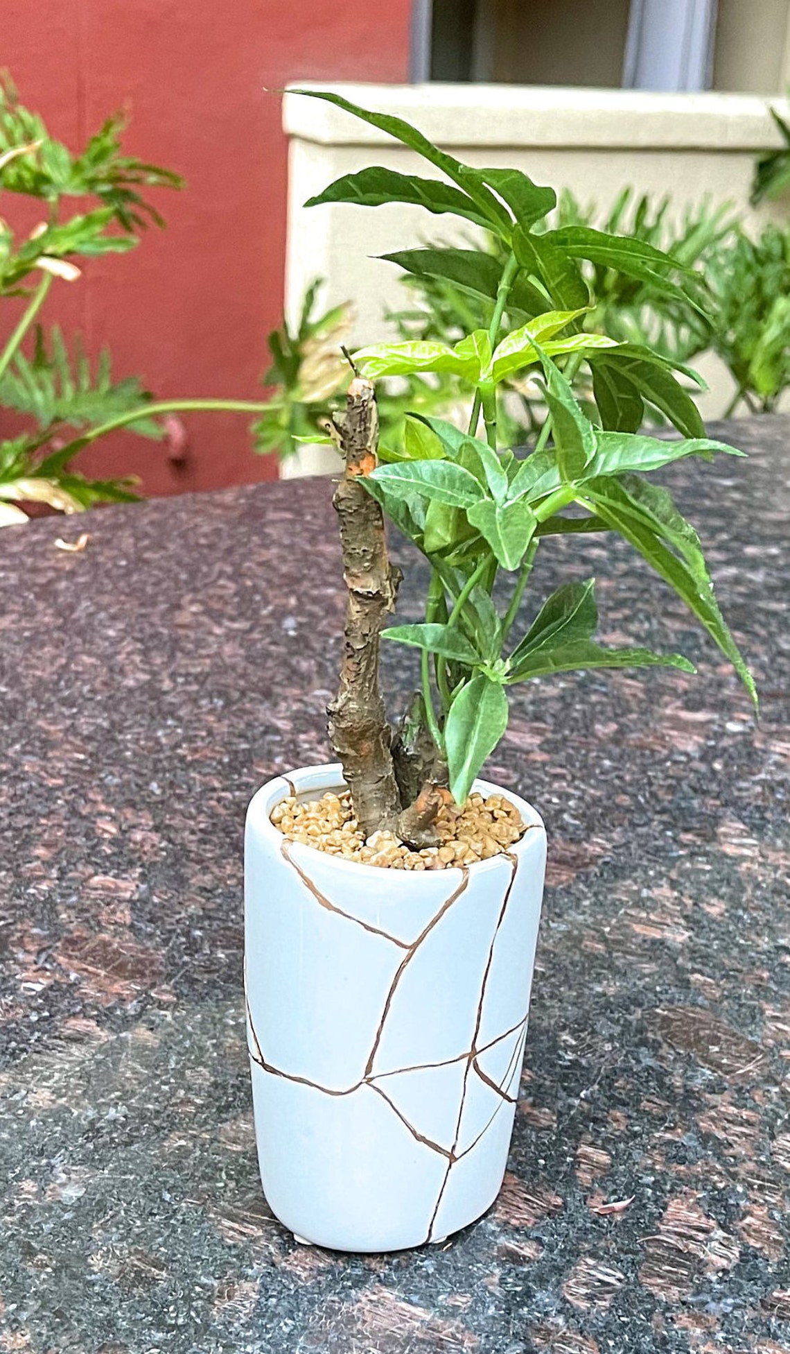 Kintsugi Planter and Artificial Plant White & Gold Kintsugi | Etsy