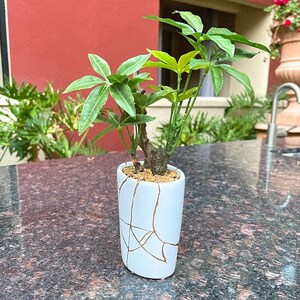 Kintsugi Planter and Artificial Plant- White Gold & Green - Kintsugi ...