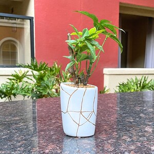 Kintsugi Planter and Artificial Plant White & Gold Kintsugi | Etsy