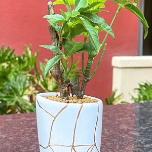 Kintsugi Planter and Artificial Plant- White Gold & Green - Kintsugi ...