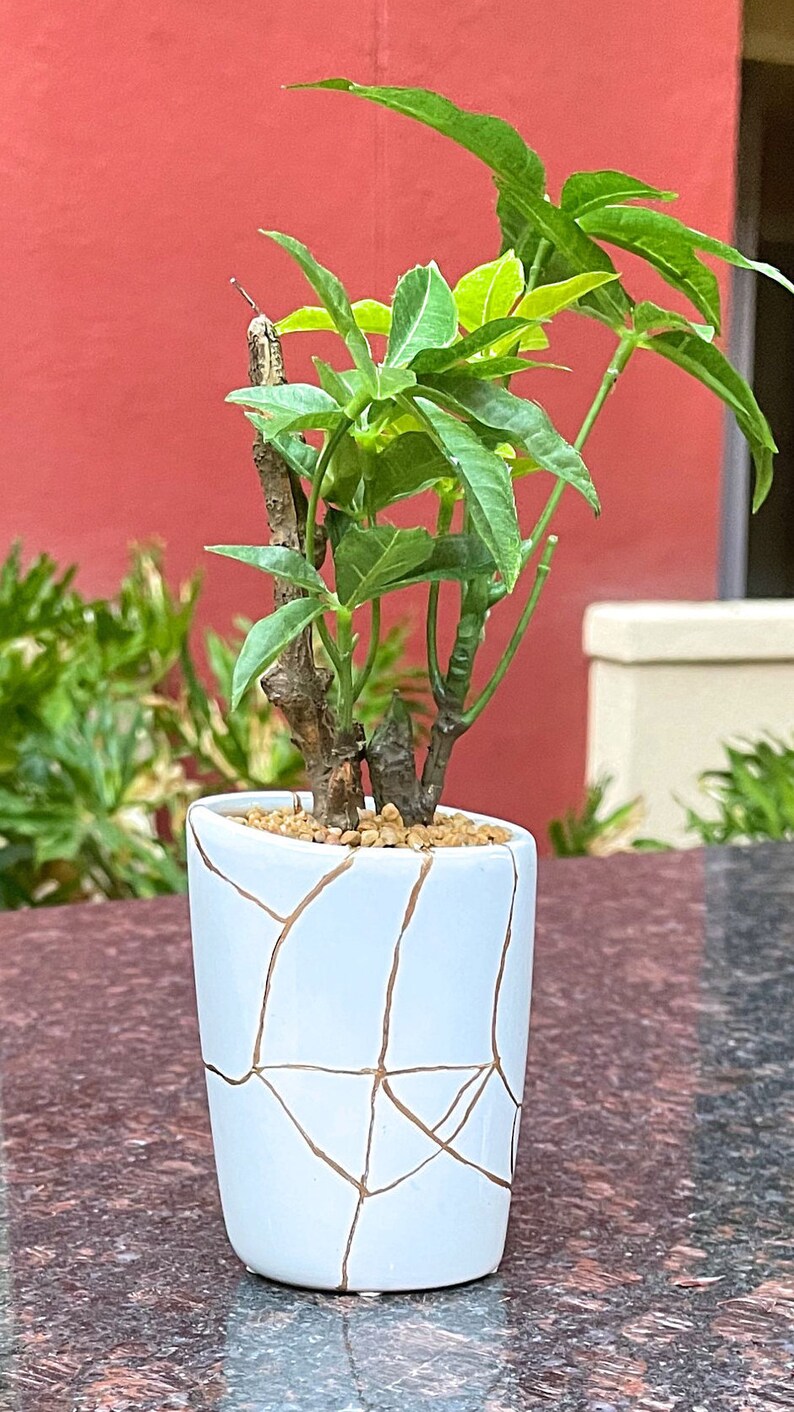 Kintsugi Planter and Artificial Plant- White Gold & Green - Kintsugi ...