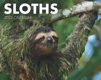 Sloths 2021 Wall Calendar | Etsy