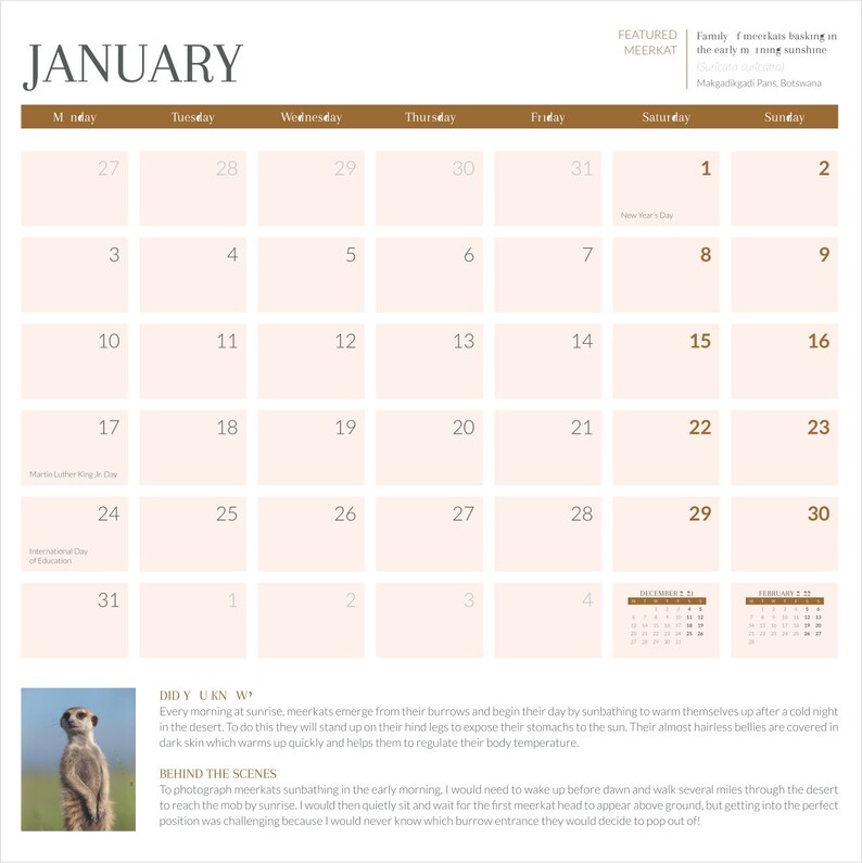 MEERKATS 2022 Wall Calendar - Etsy