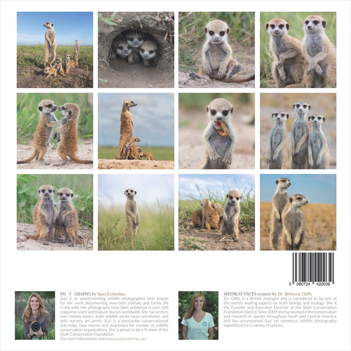 MEERKATS 2022 Wall Calendar - Etsy