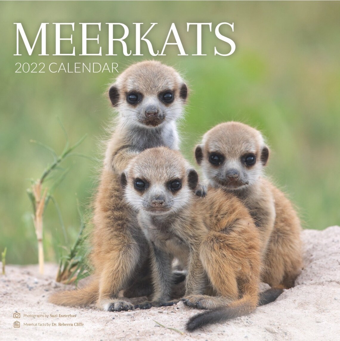 MEERKATS 2022 Wall Calendar - Etsy