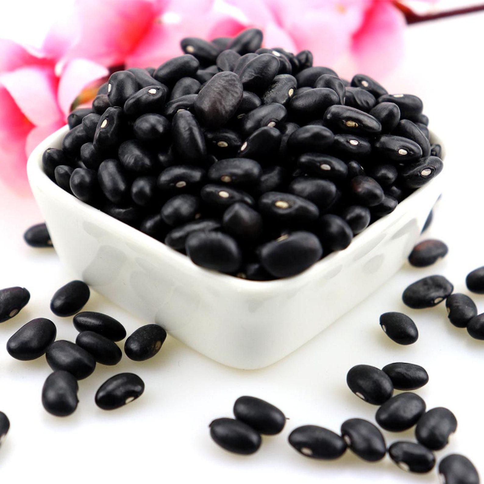 BEANS Black, Red , Green/mung, Beans Organic, Vegan - Etsy