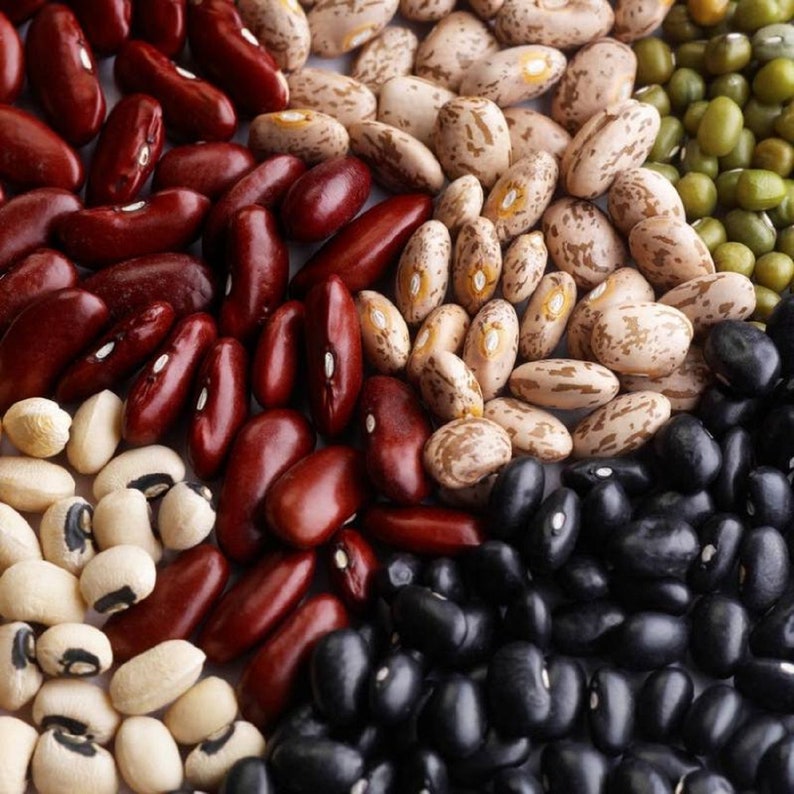 BEANS Black, Red , Green/mung, Beans Organic, Vegan - Etsy