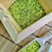 Butter Sauce Seasoning Blend With Sea Salt - Crème Brûlée Spice - Etsy