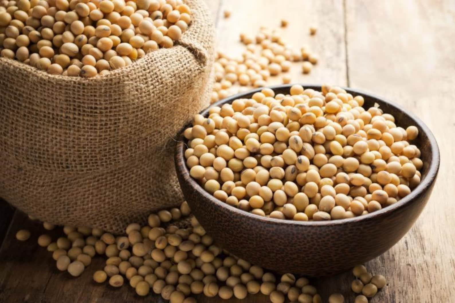 Soya Variety Pack: Steaks, Chunks, Granules, Strips & More - Etsy