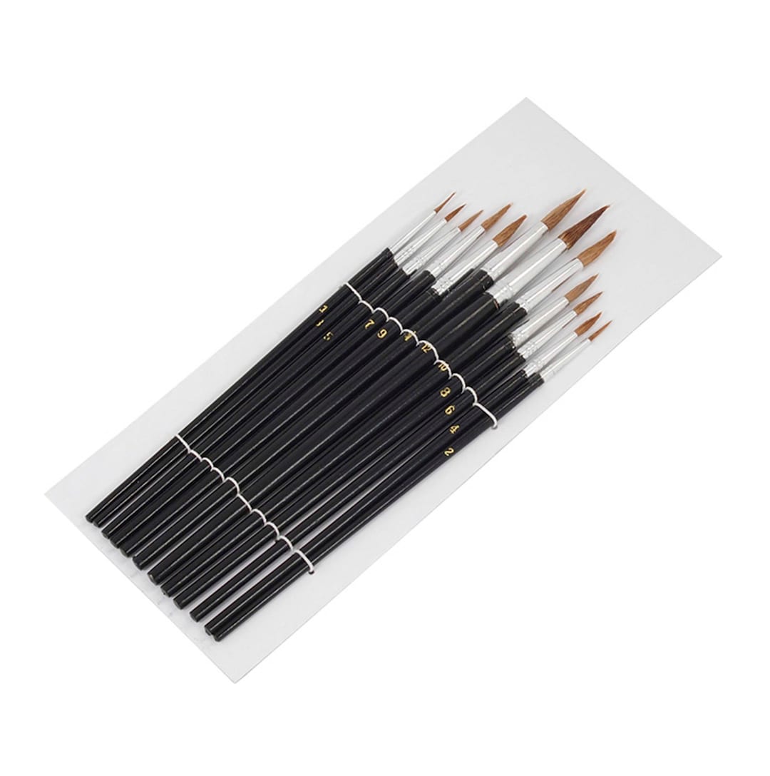 12 Piece Round Pointed Head Artist Brush Set Fine Hair Brushes Ideal ...