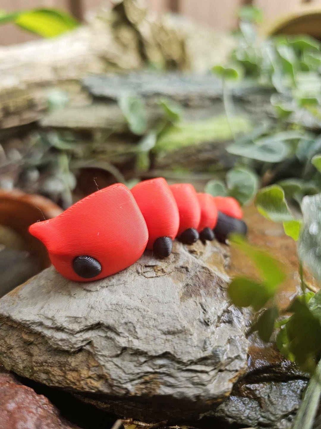 Mini Shrimp - Etsy