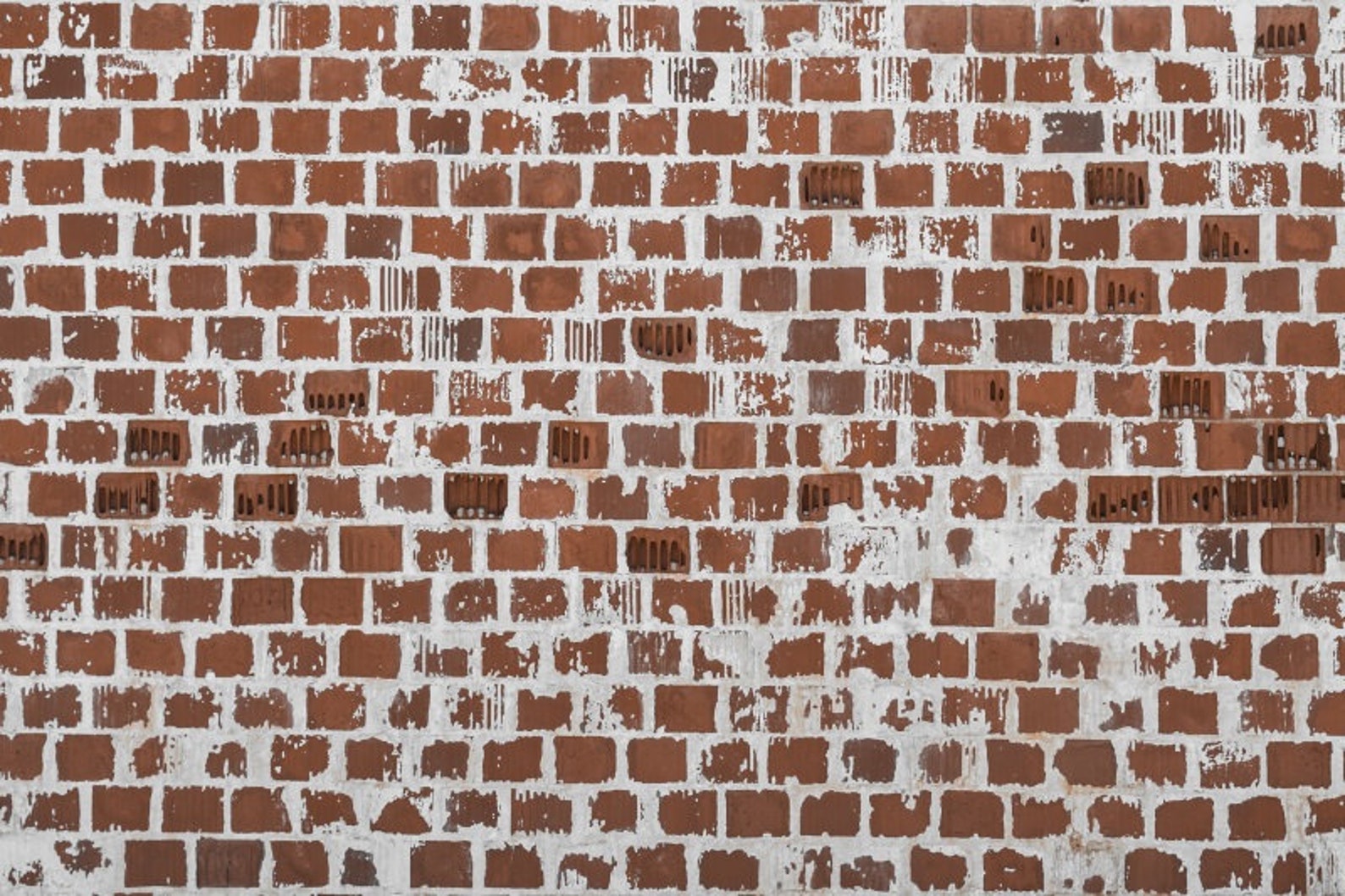 Royal Blue Brick Wall Photography Backdrop Birthday Party Baby - Etsy