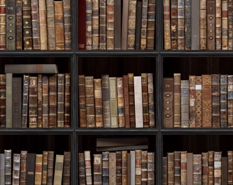 Vinyl Bookshelf Study Library Books Photo Studio Backdrop Background - Etsy