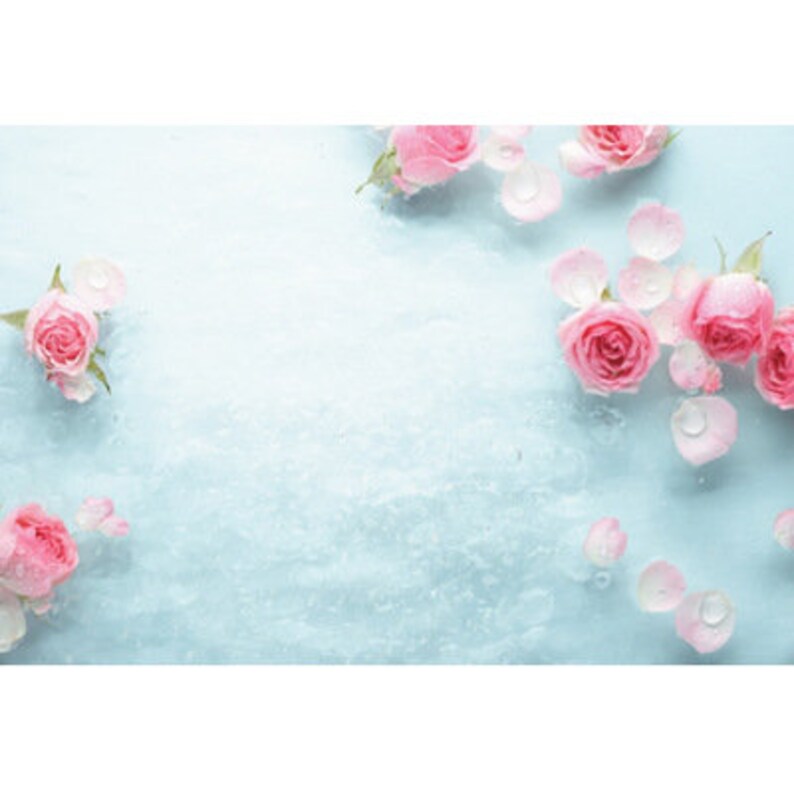 Red Rose Wall Photography Backdrop Wedding Birthday Party - Etsy