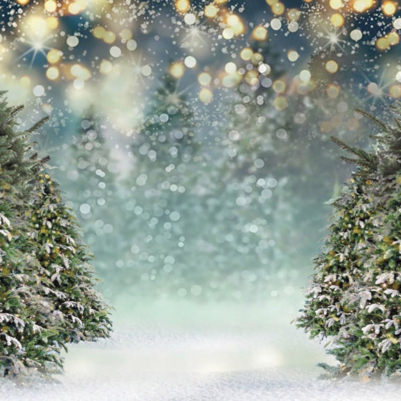 Winter Backdrop - Etsy