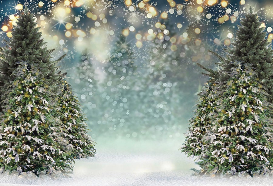 Glitter Dot Winter Photography Backdropswinter Wonderland - Etsy