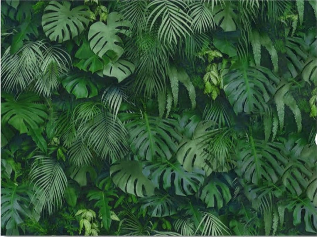 Tropical Forest Plant Photography Backdrop,green Leaves Wall Birthday ...