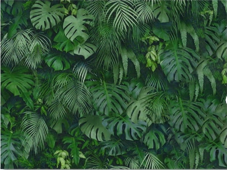 Tropical Forest Plant Photography Backdropgreen Leaves Wall | Etsy