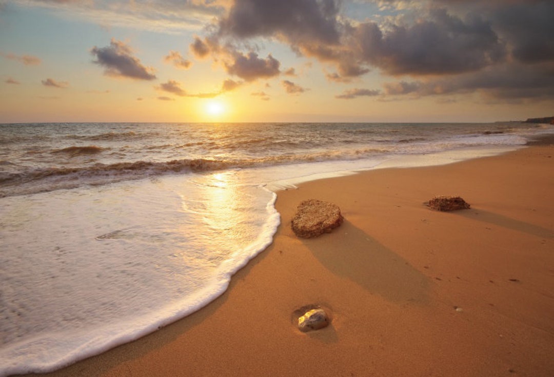 Beach Waves With Banner Backdrop