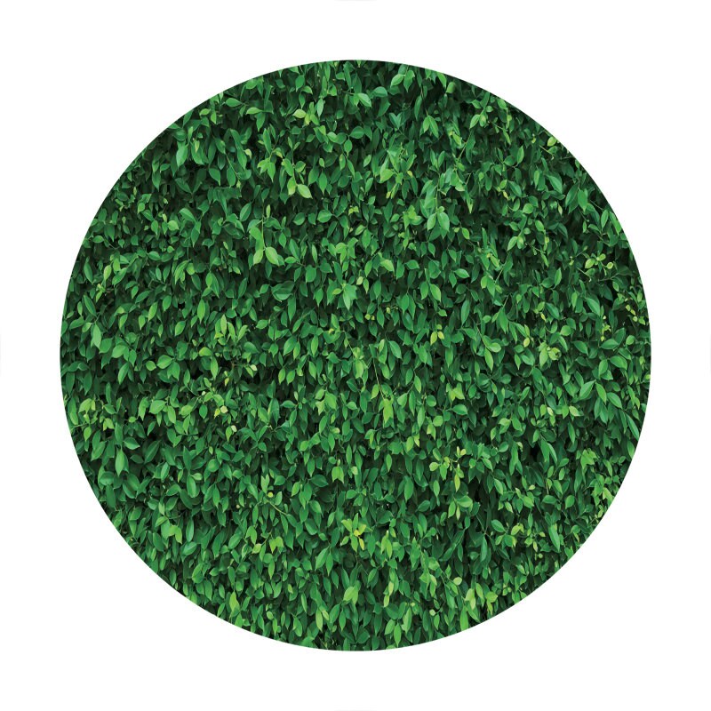Round Green Leaves Photography Backdrop,spring Grass Wedding Birthday ...