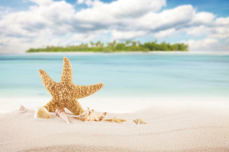Summer Sea Side Beach Party Photography Studio Backdrops,starfish ...