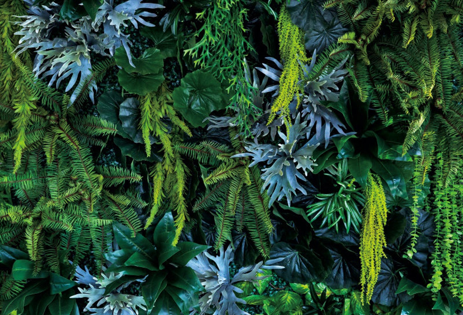 Tropical Forest Plant Photography Backdropgreen Leaves Wall | Etsy