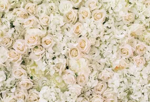 Champagne Rose Flowers Wall Photography Background Wedding | Etsy