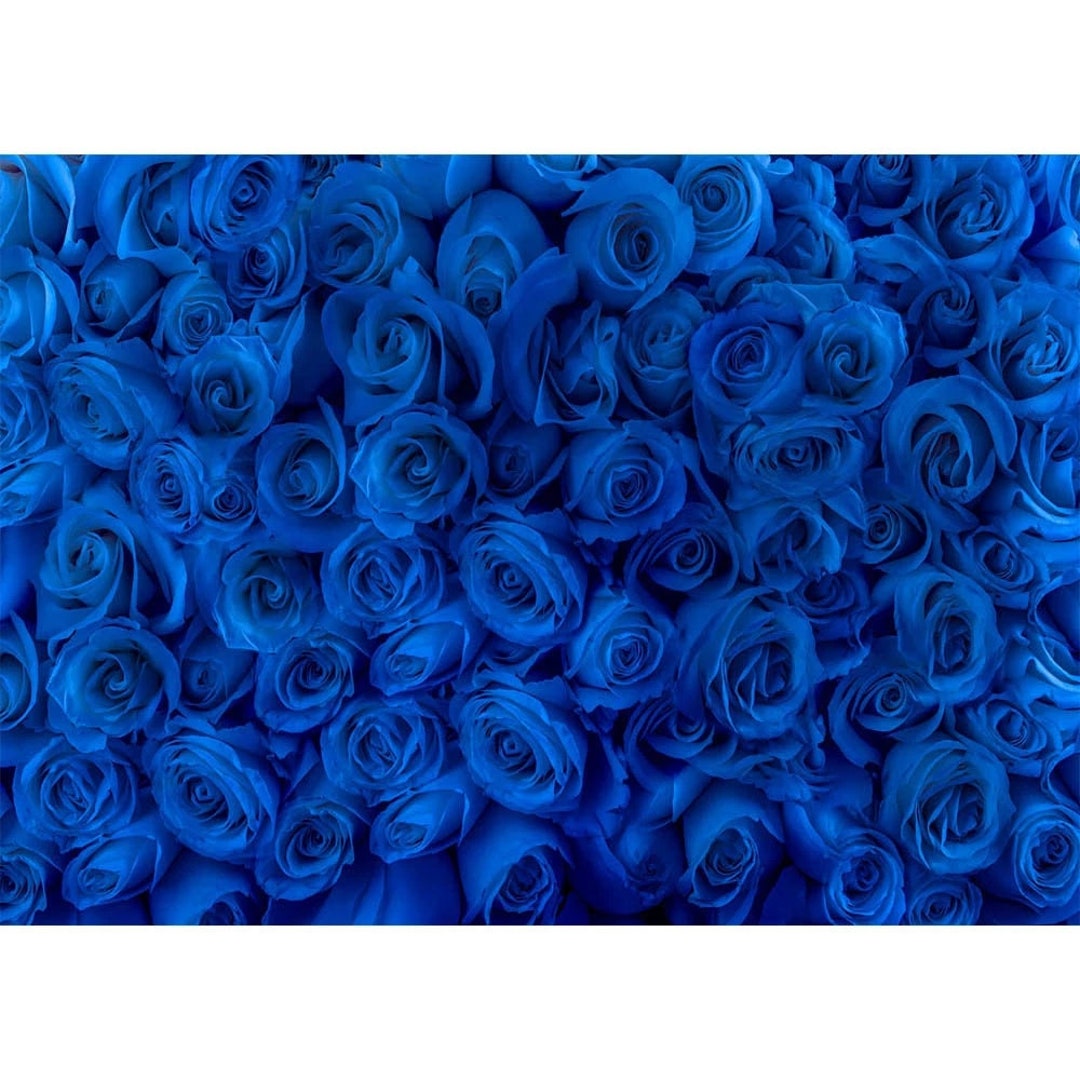 Royal Blue Rose Flower Photography Backdrop Wedding Birthday Party ...