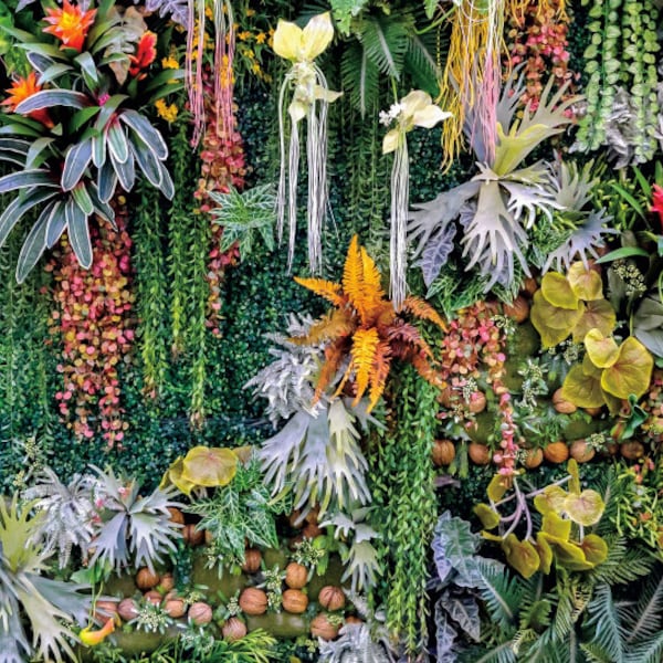 Rainforest Photo Booth - Etsy